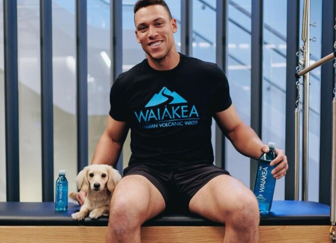 Aaron Judge Bio, Age, Height, Weight, Career, Girlfriend, Net Worth, Family